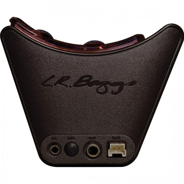 LR Baggs SESSION-VTC Acoustic Guitar Pickup - Buy Online - Belfield Music